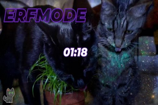 The Bestest Gameshow your Cats will EVER see // BTTV // !giveaway ...